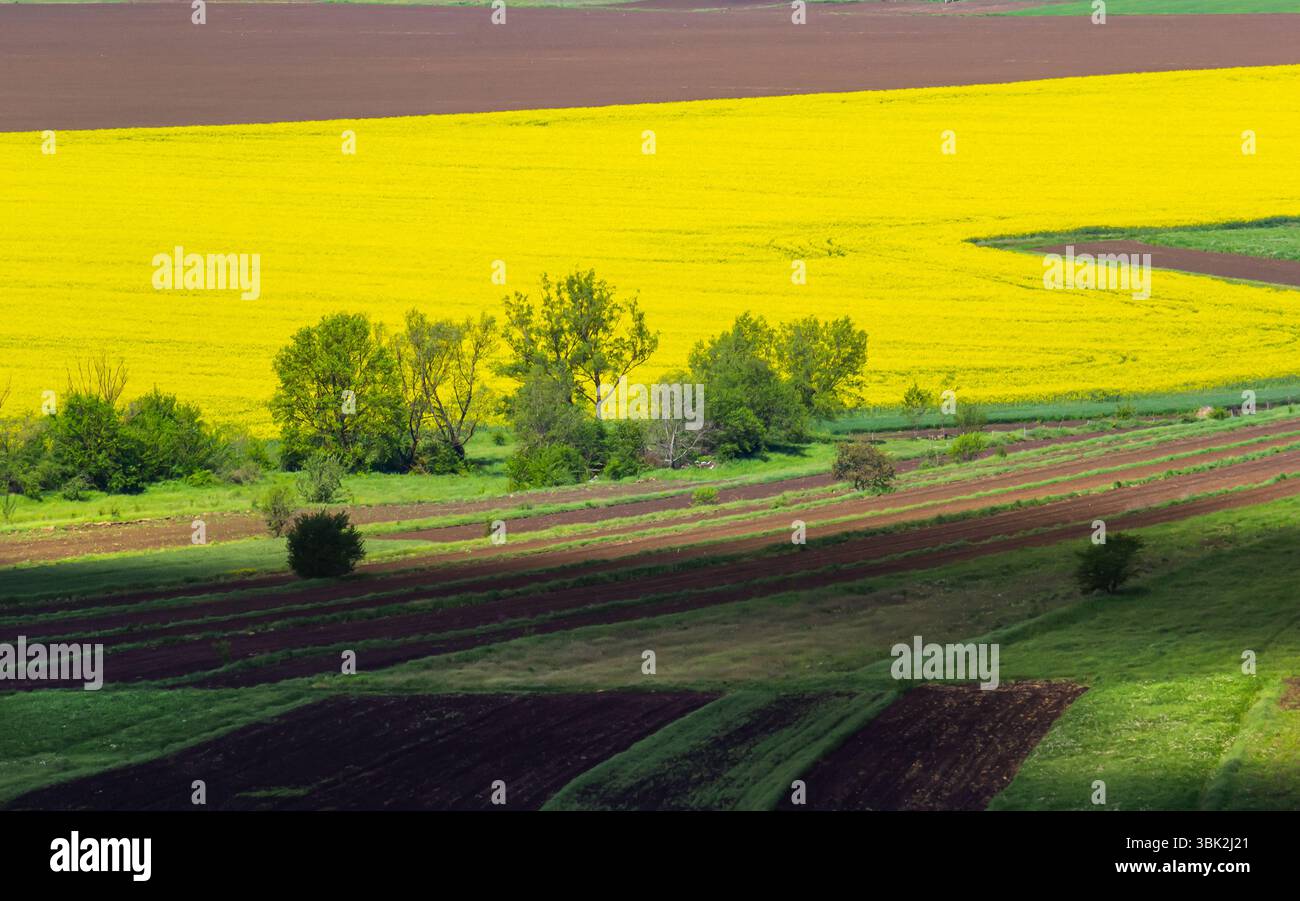 Expansive agricultural fields stretch under hi-res stock photography ...