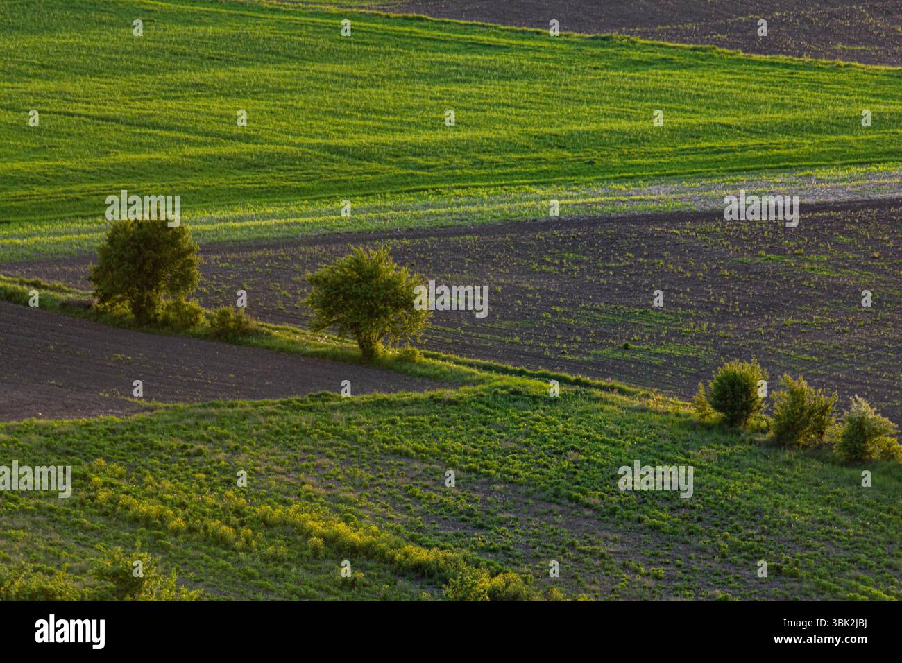 Lush green fields stretch across the landscape, accentuated by patches ...