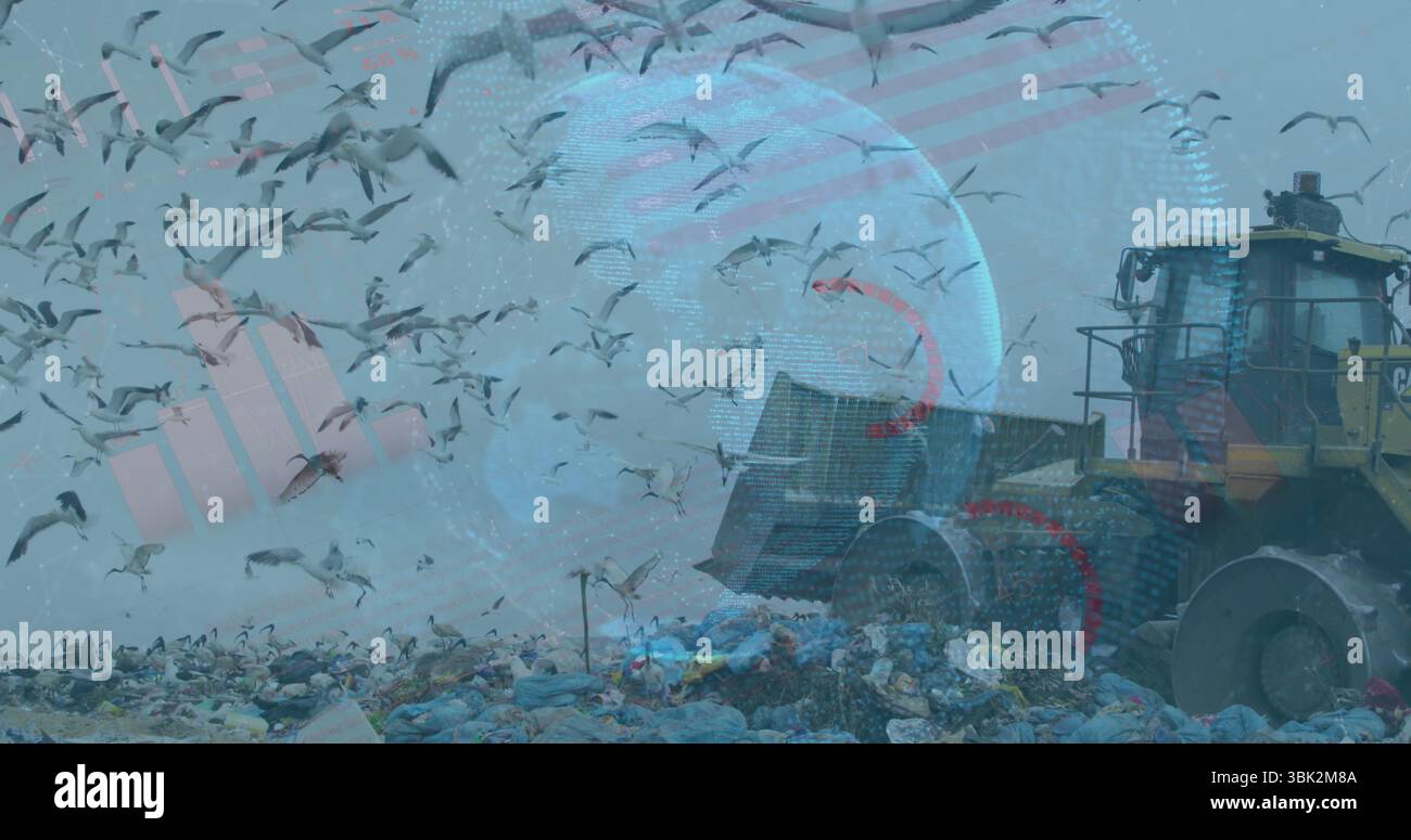 Pushing compactor leveling garbage at dump, with gulls, globe and flag ...