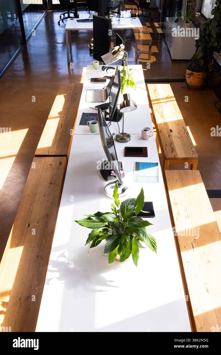 Modern office with computers and plants on long white desk, sunlight ...