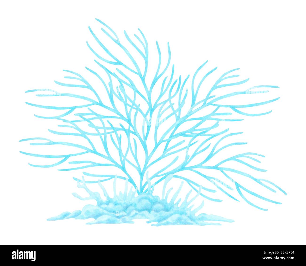 Branched blue coral. Watercolor and marker illustrations. Underwater ...