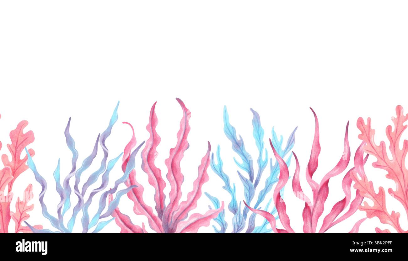 Multicolored seaweed. Seamless border composition. Watercolor botanical ...
