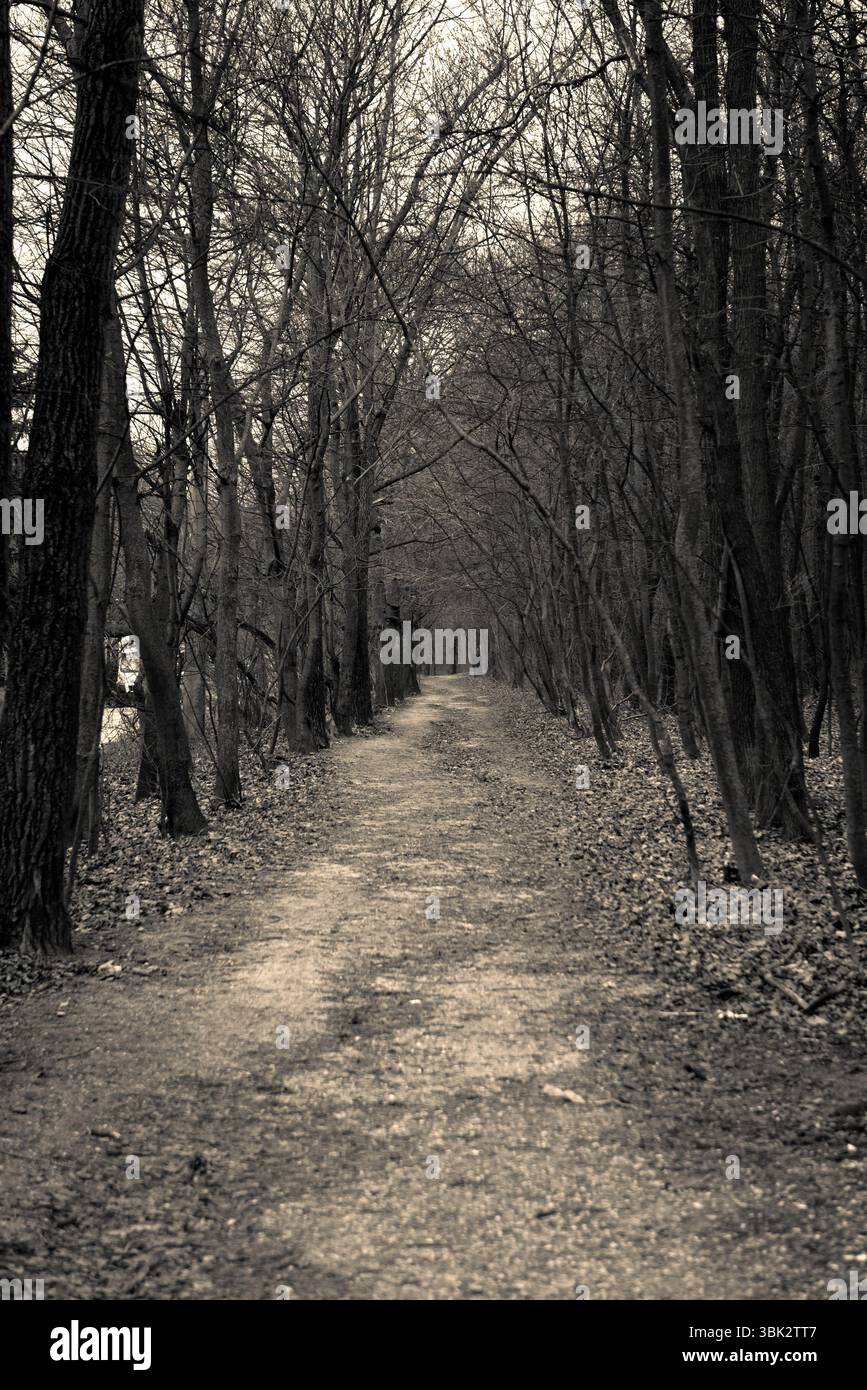 Small Pathway going trough the park outdoors Stock Photo - Alamy