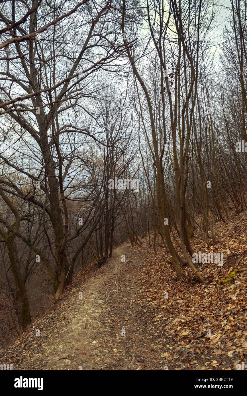 Small Pathway going trough the park outdoors Stock Photo - Alamy