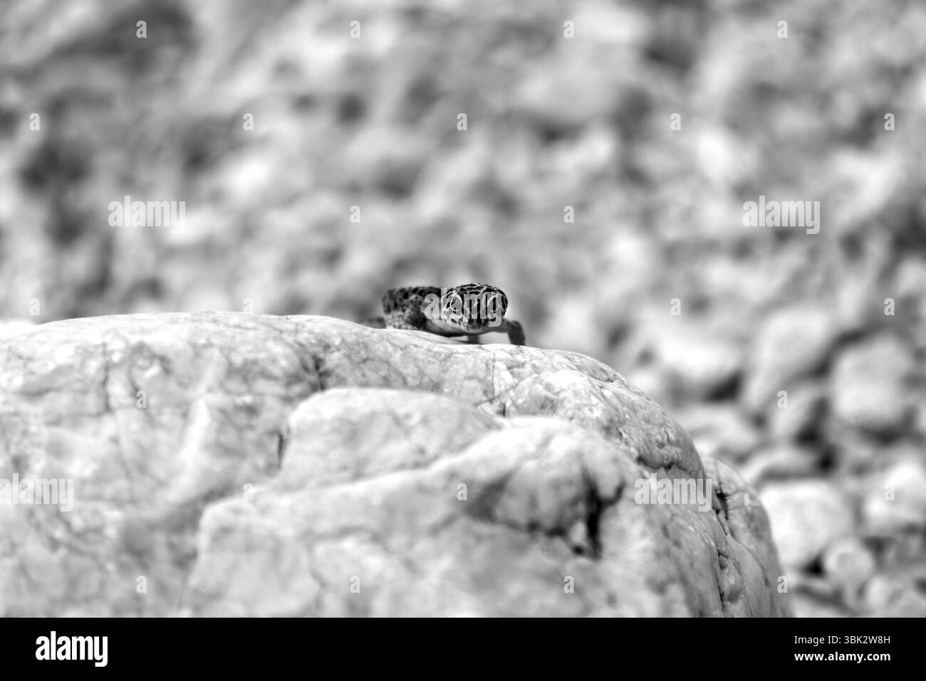 The rock of the dragon Black and White Stock Photos & Images - Alamy