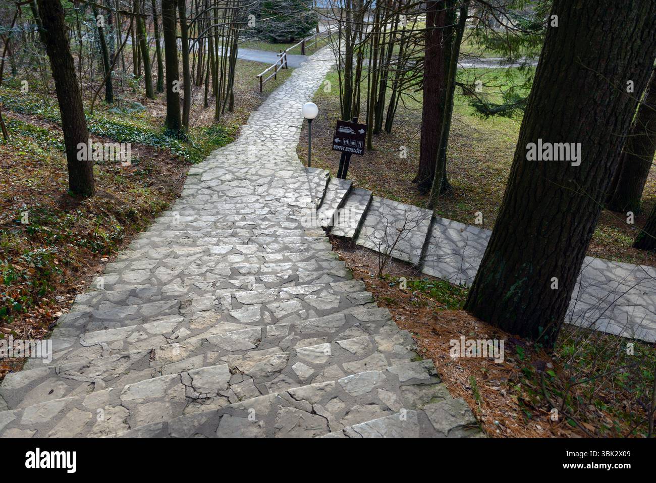 Small Pathway going trough the forest outdoors Stock Photo - Alamy