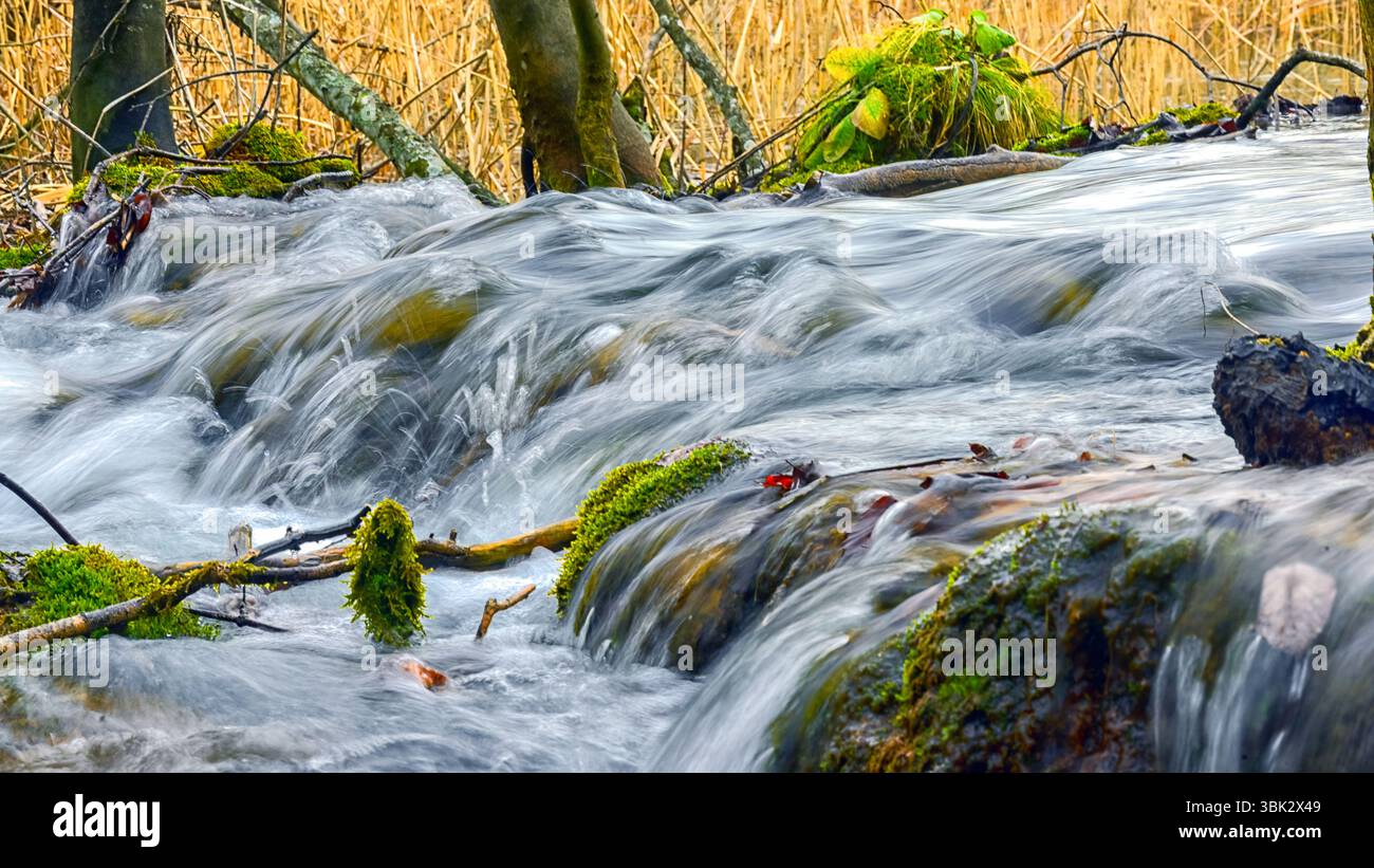 Water in fast mountain stream hi-res stock photography and images - Alamy