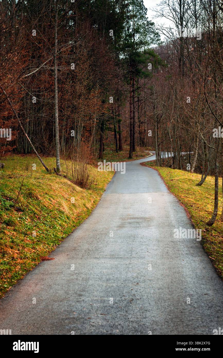 Small Pathway going trough the forest outdoors Stock Photo - Alamy