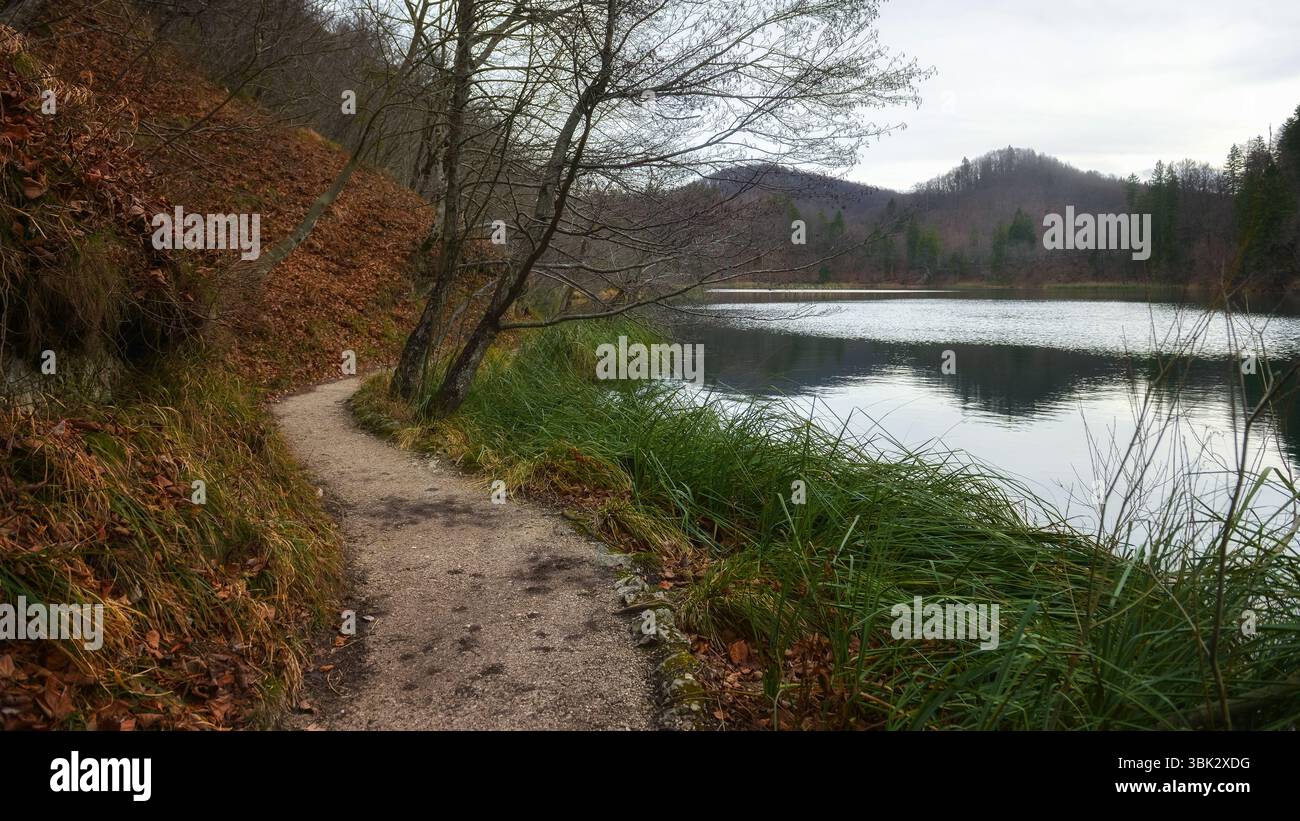 Small Pathway going trough the forest outdoors Stock Photo - Alamy