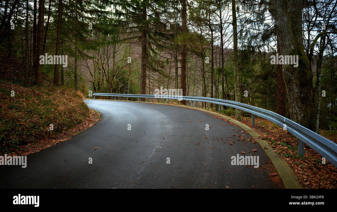 Landscape forest road in hi-res stock photography and images - Alamy