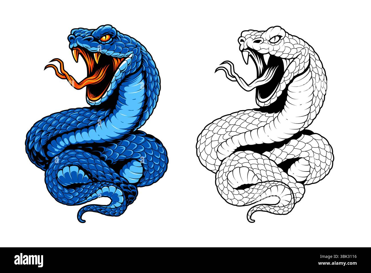 Viper snake vector mascot isolated on white. Coiled up snake with open ...