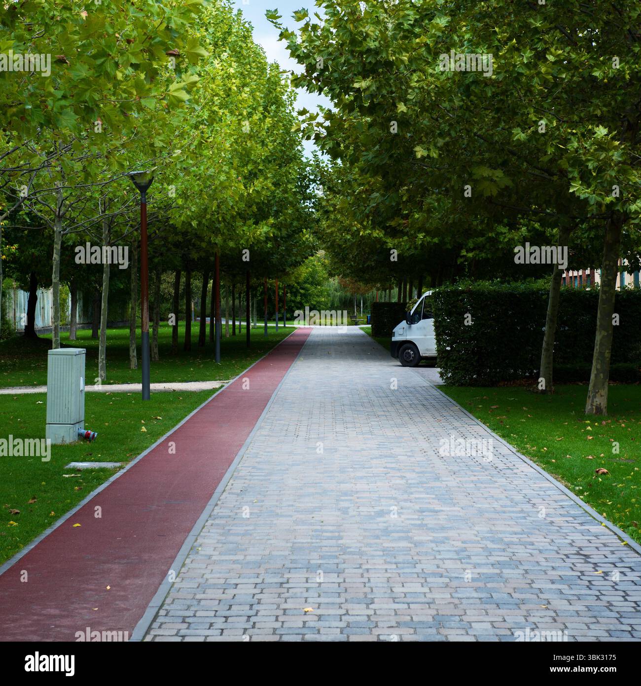 Empty path in nature hi-res stock photography and images - Alamy