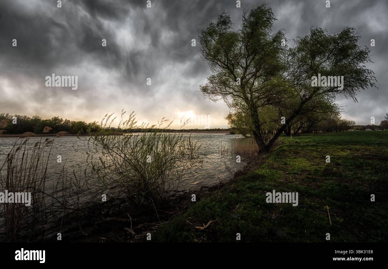 Natural reserve at hungarian river Tisza photo Stock Photo - Alamy