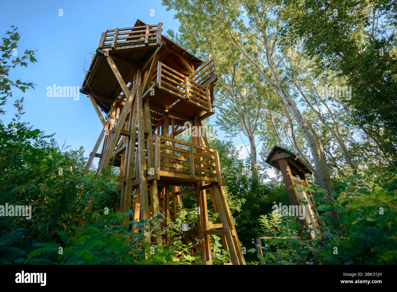 Wooden tower in forest hi-res stock photography and images - Alamy