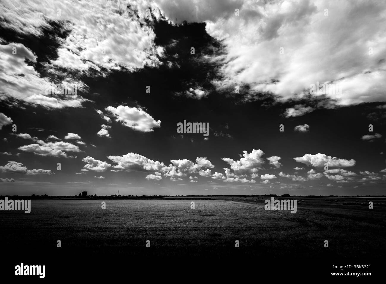 Yellow field on bright Black and White Stock Photos & Images - Alamy