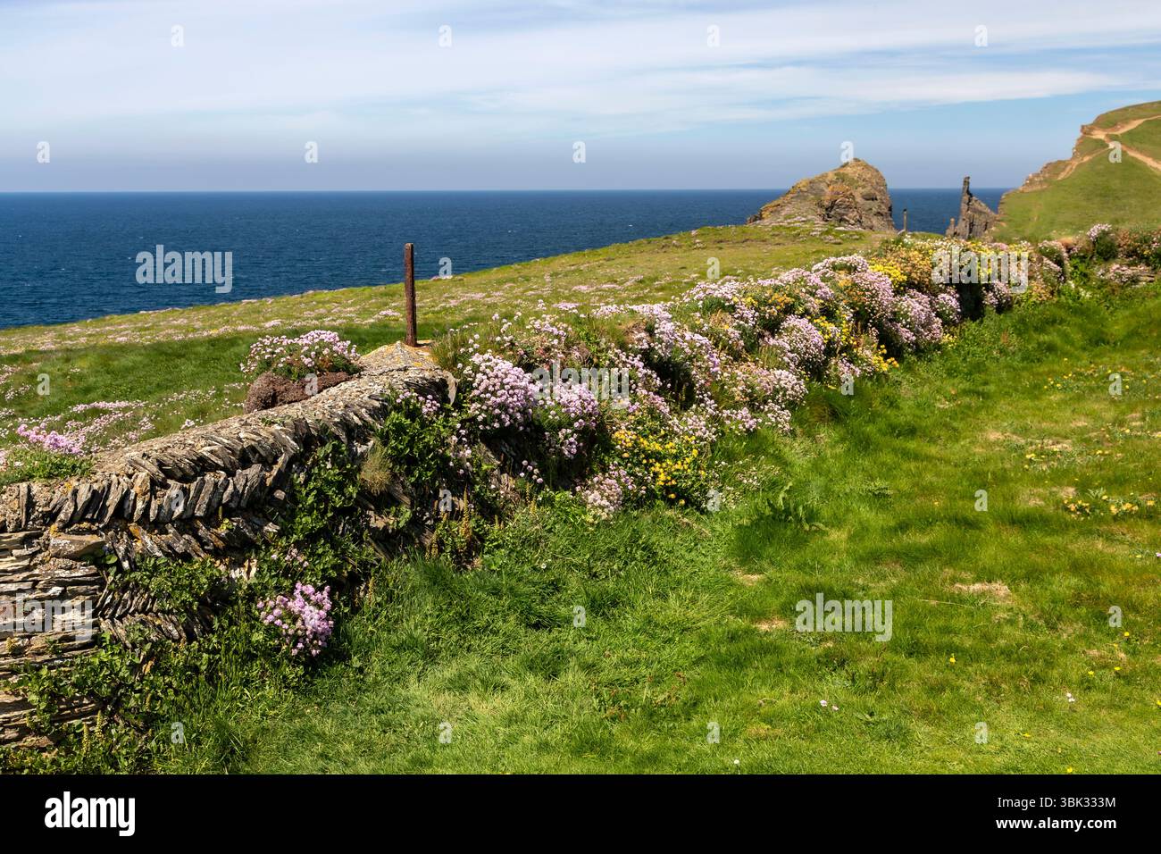 Colourful Summer Cornish Coastal View Along a Historic Dry Stone Bank to Gunver Head, With ...