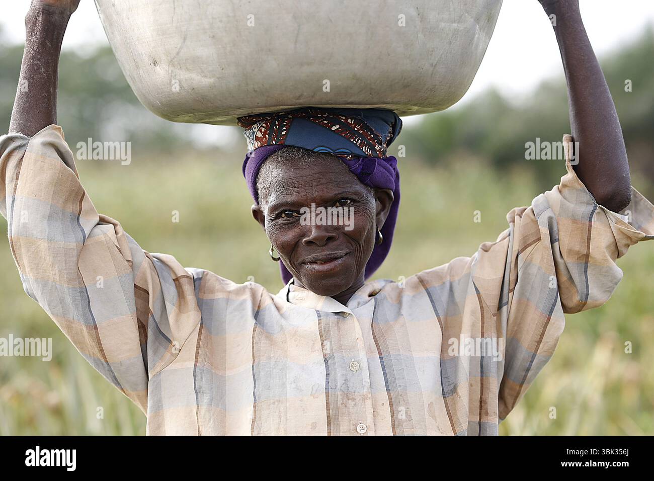 Pineapple picker in Allada, Benin Stock Photo - Alamy