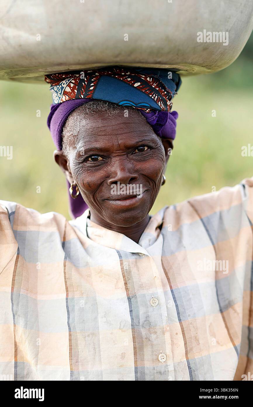 Pineapple picker in Allada, Benin Stock Photo - Alamy