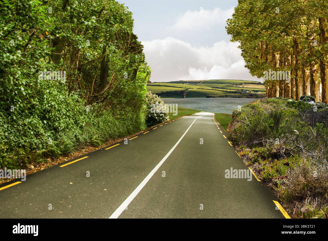 Flat design road is stretching toward lake, hedges flanking and fields ...