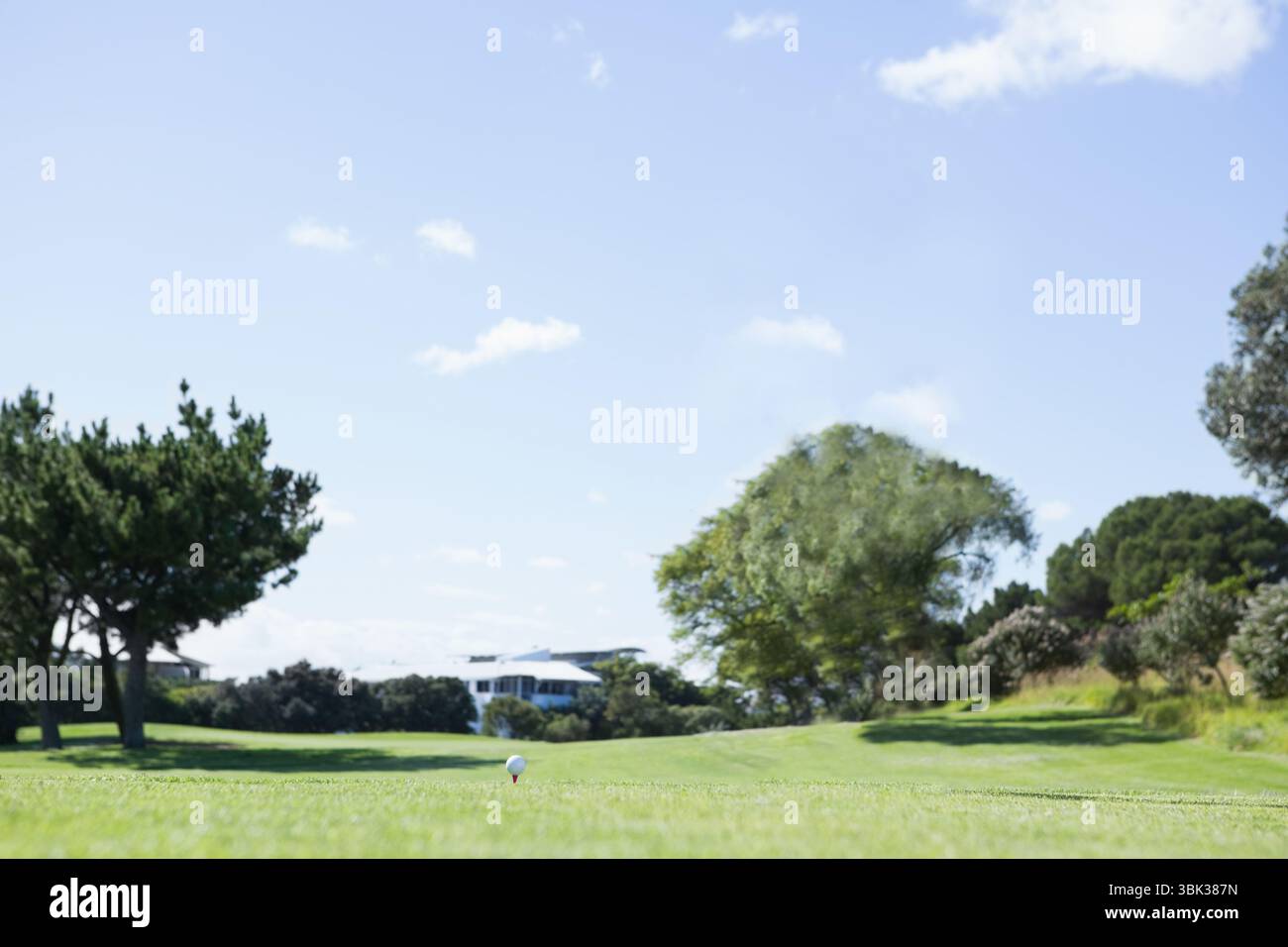 Golf ball is sitting on tee in flat design golf course scene under pale ...