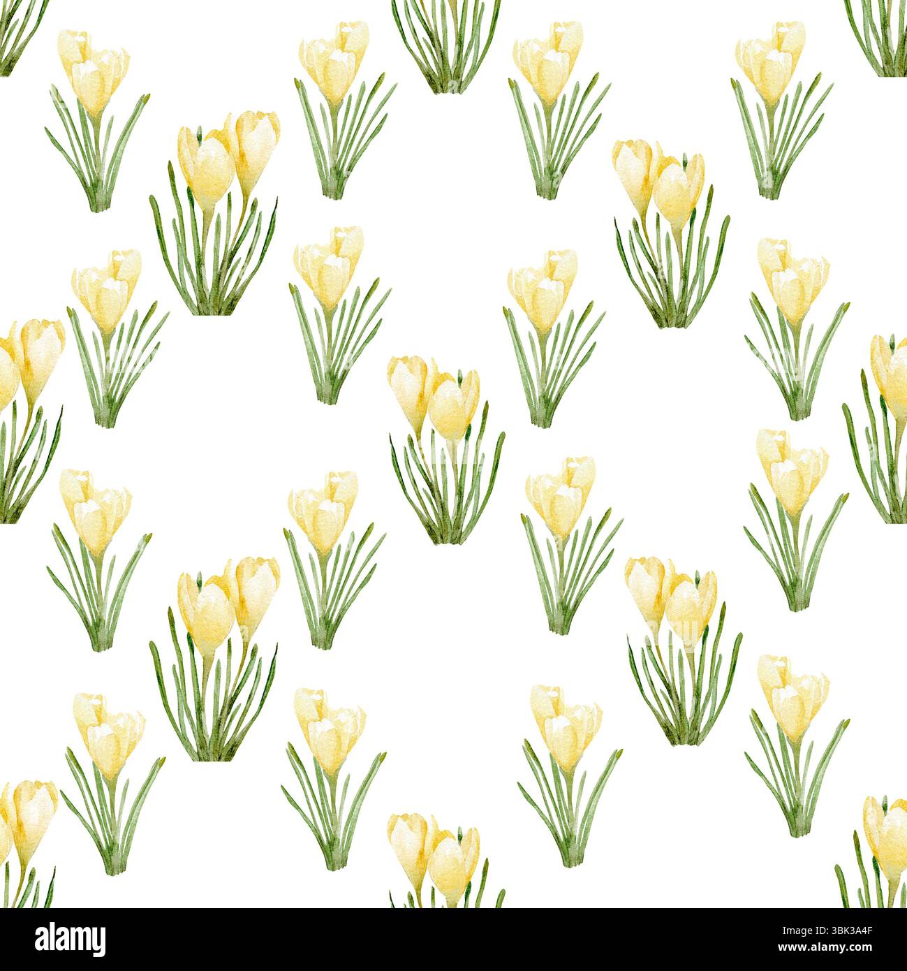 Yellow crocuses and primroses with petals, seamless pattern. Watercolor ...