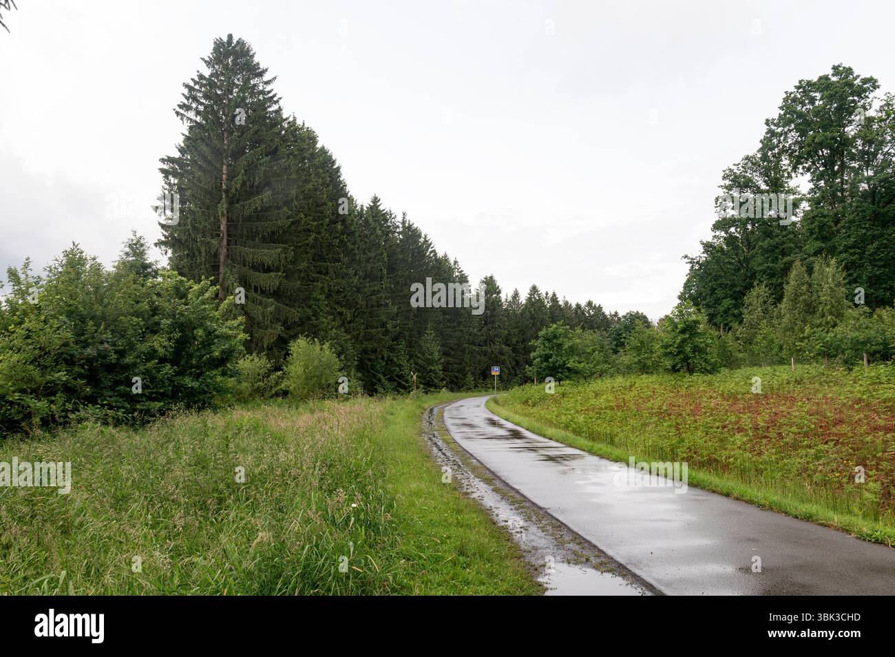 between Raeren Belgium and Roetgen Germany June 2025 Vennbahn cycle ...