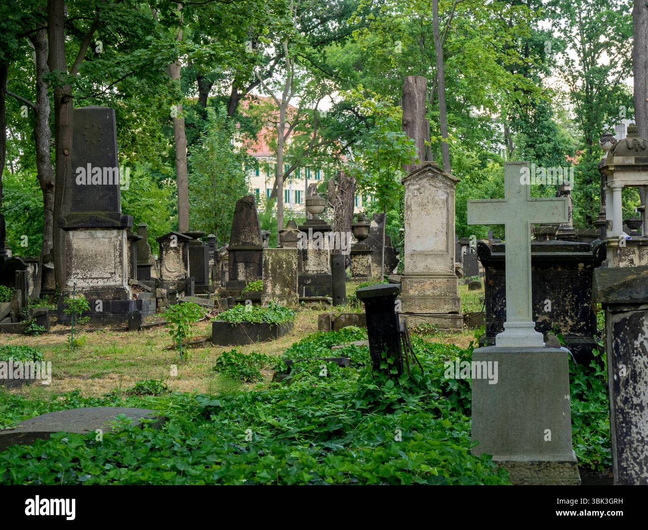 Der Eliasfriedhof in Dresden Ein historisch und kulturell bedeutener ...
