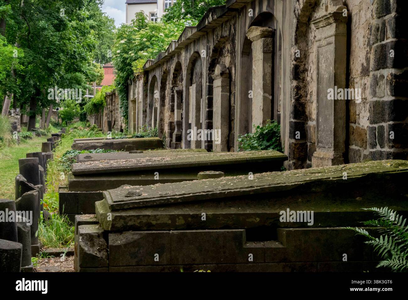 Der Eliasfriedhof in Dresden Ein historisch und kulturell bedeutener ...