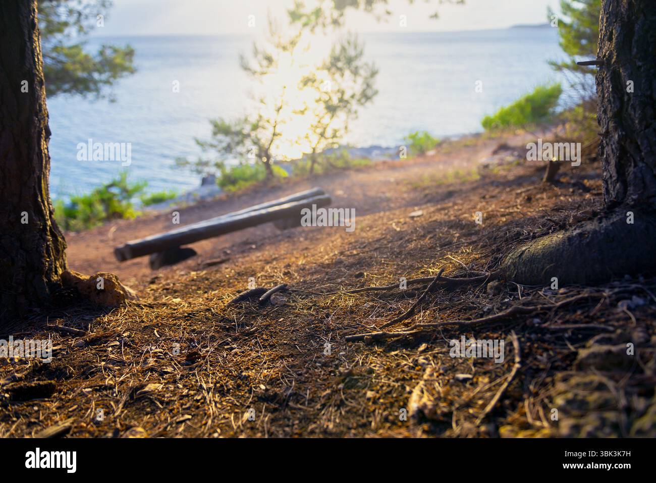 Activity scene hi-res stock photography and images - Alamy