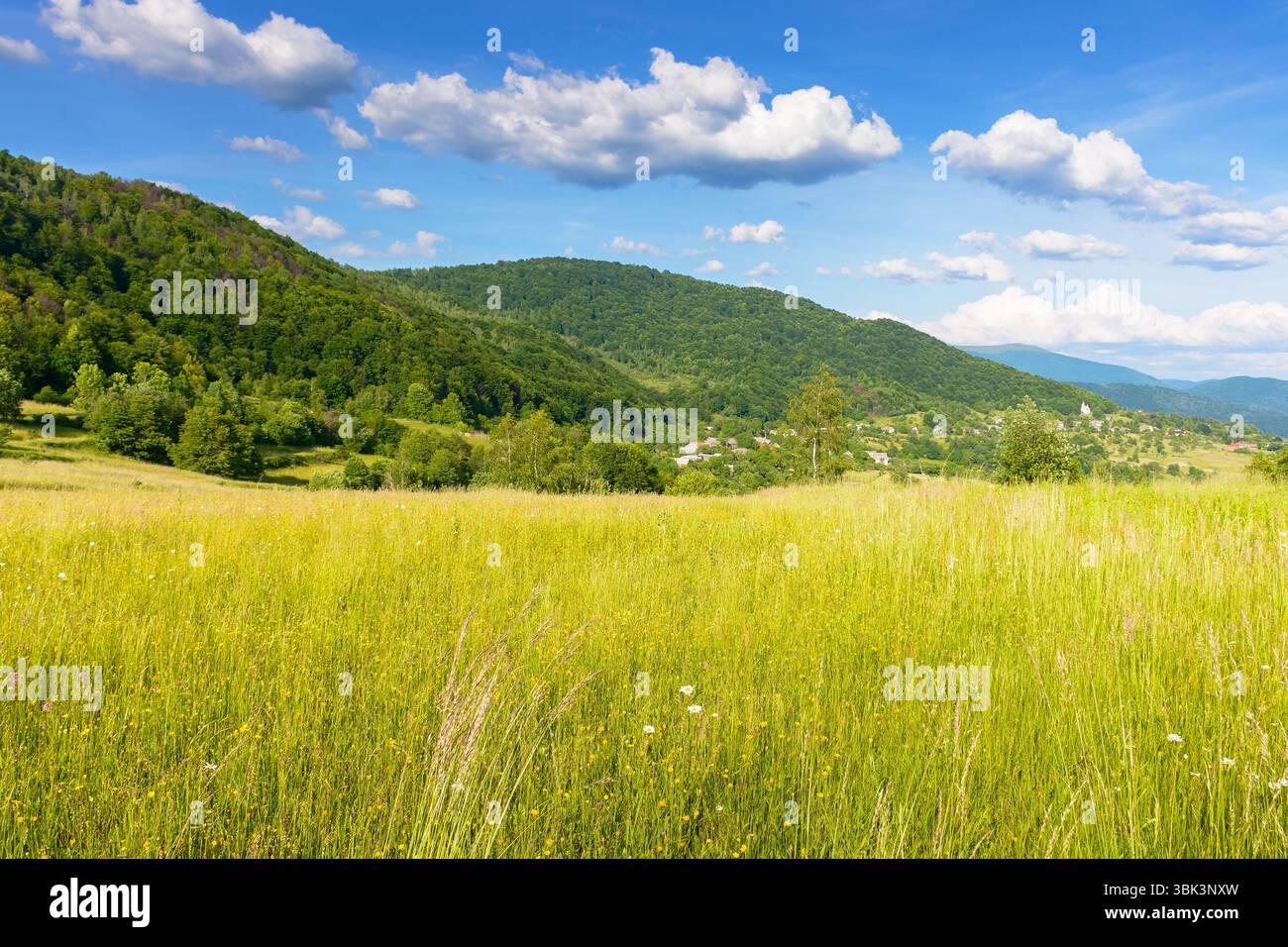 Delightful ukraine view hi-res stock photography and images - Alamy
