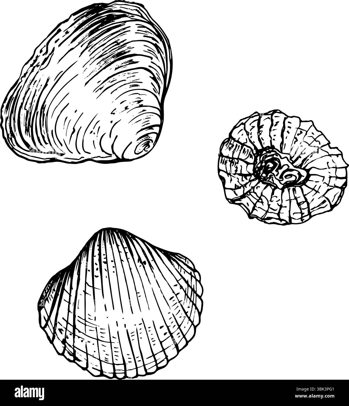 Coastal natural beauty Stock Vector Images - Alamy