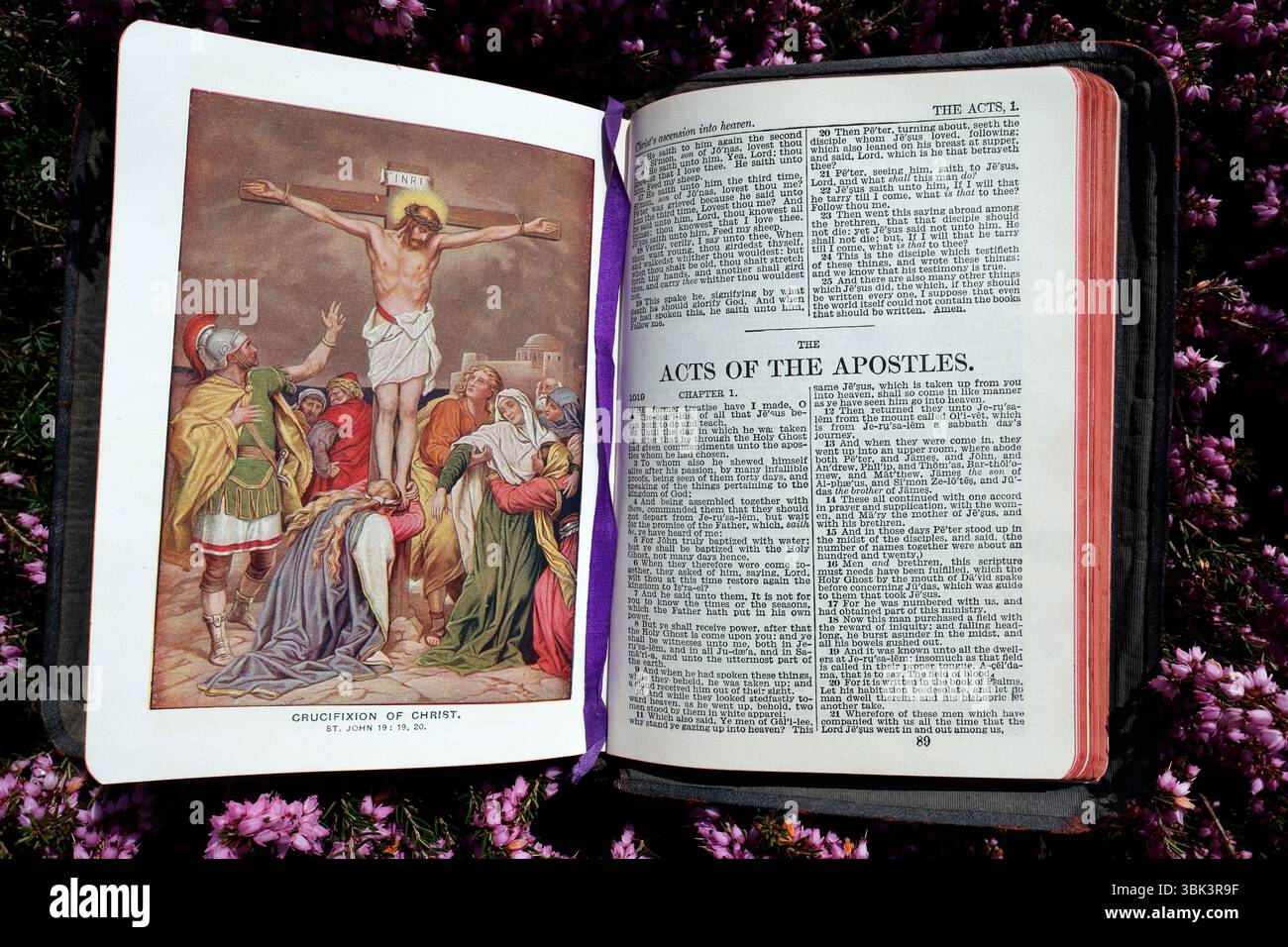 Illustrated Bible. The Crucifixion and the Acts of the Apostles Stock ...