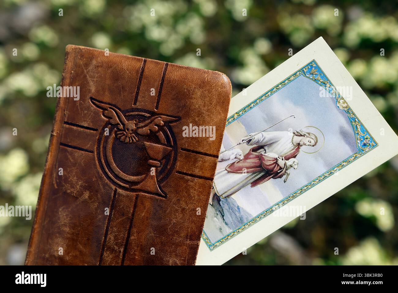 Bible with a religious image. Jesus the good shepherd Stock Photo - Alamy
