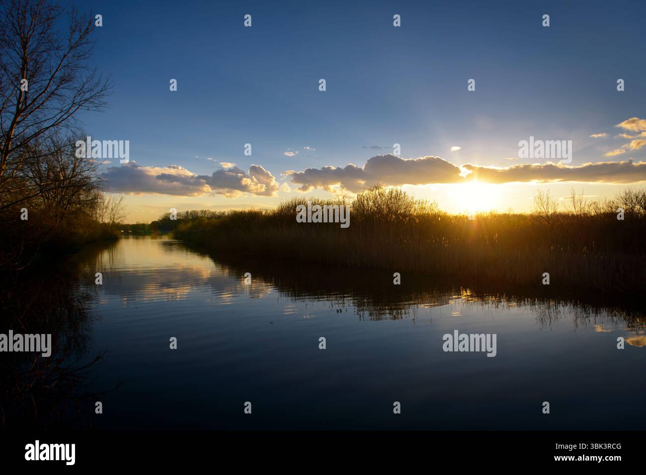 Natural reserve at hungarian river Tisza photo Stock Photo - Alamy