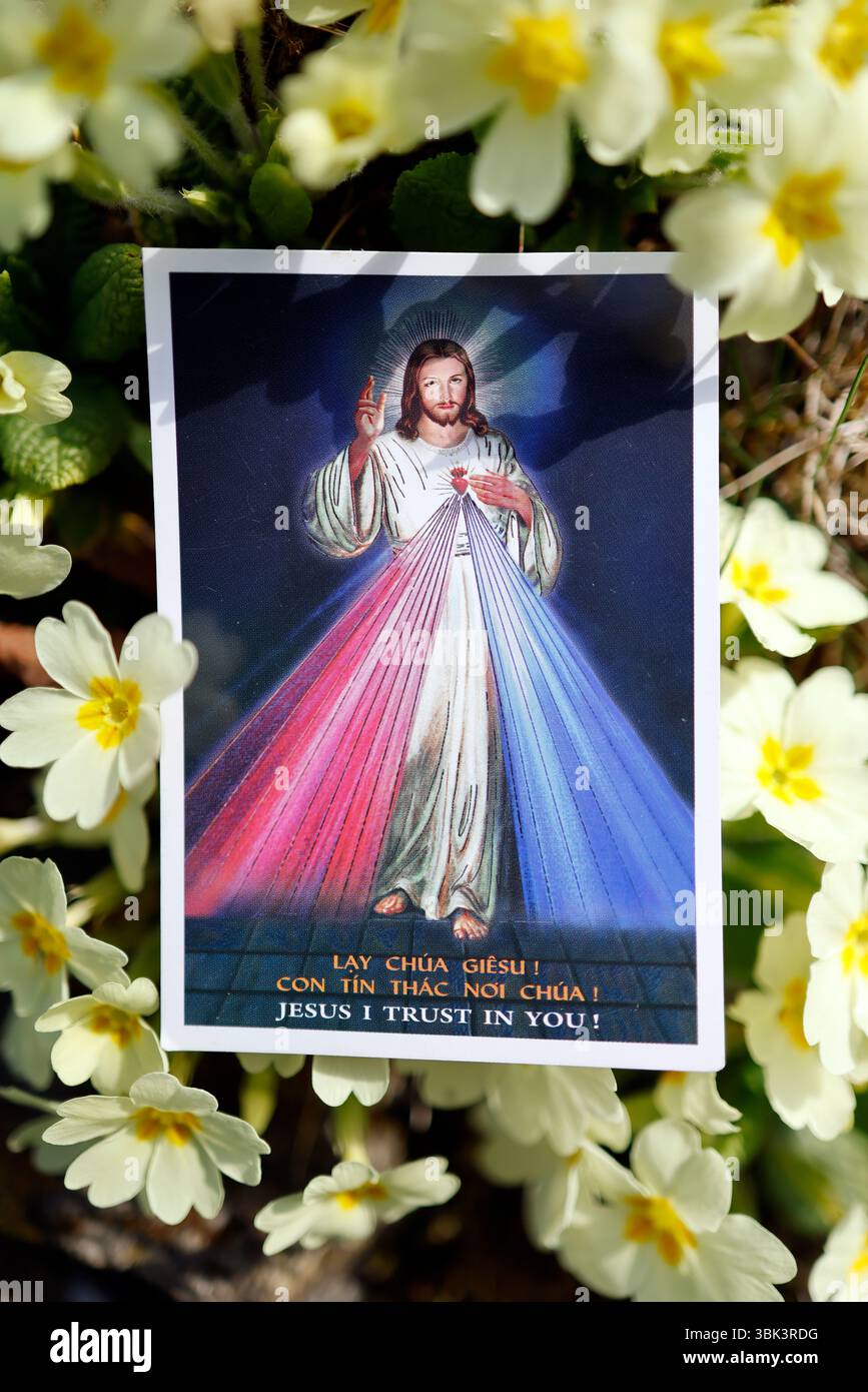 Divine mercy image jesus hi-res stock photography and images - Alamy