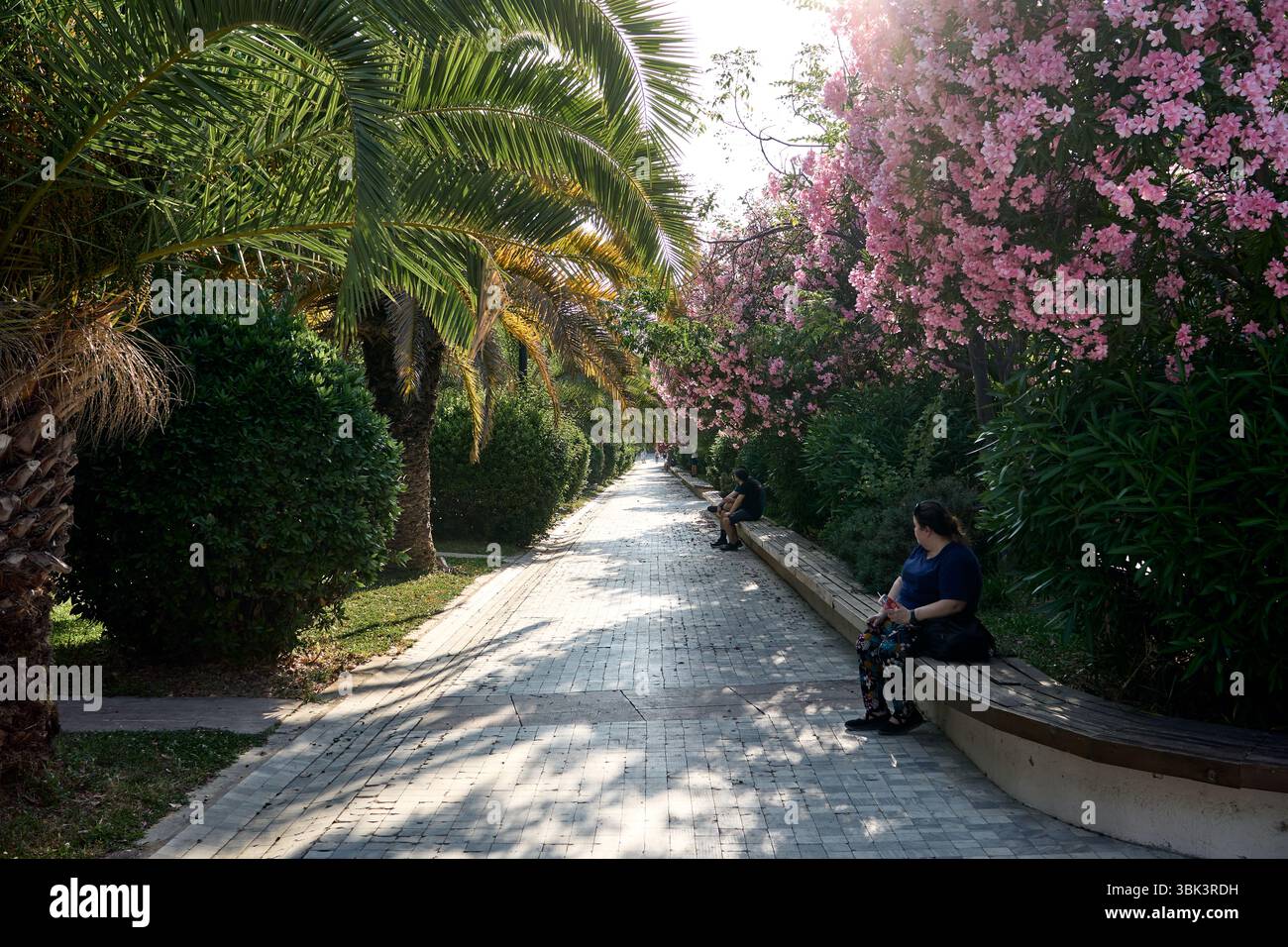 Pedion tou Areos. Public park in Athens, Greece Stock Photo - Alamy