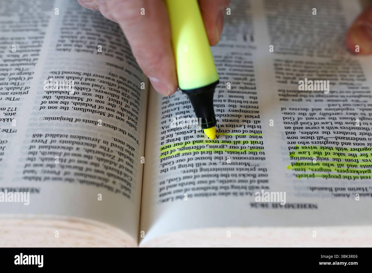 Man studying the Bible and highlighting important passages. Bible study ...