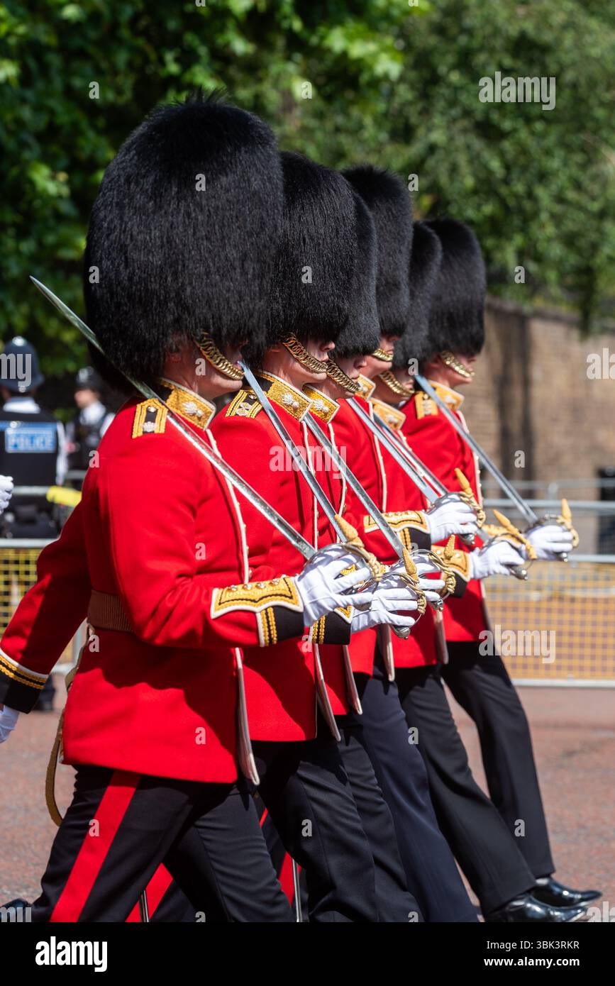 Officers of the Grenadier Guards with swords marching at Trooping the ...