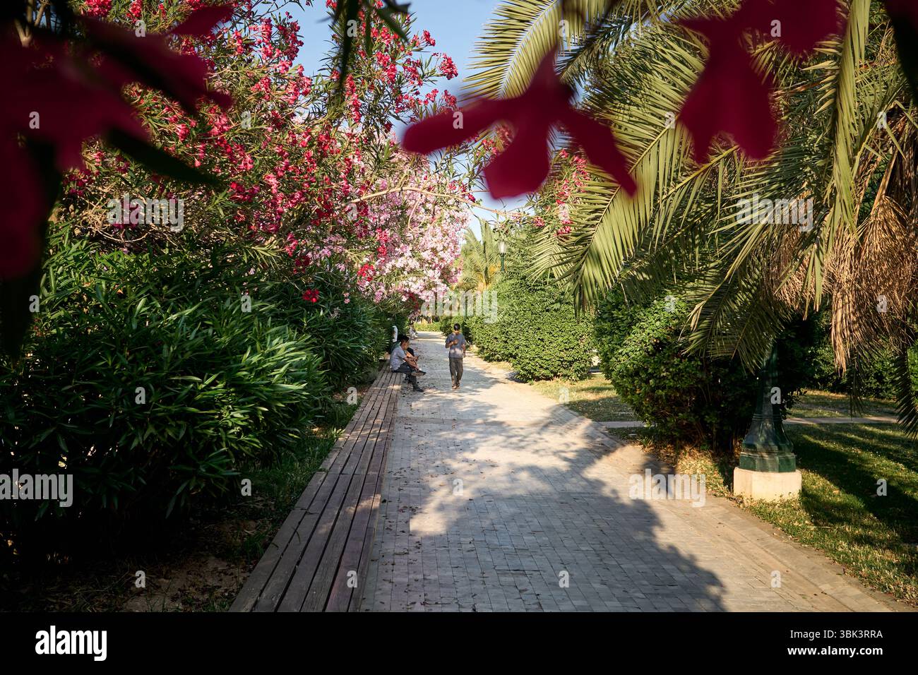Pedion tou Areos. Public park in Athens, Greece Stock Photo - Alamy