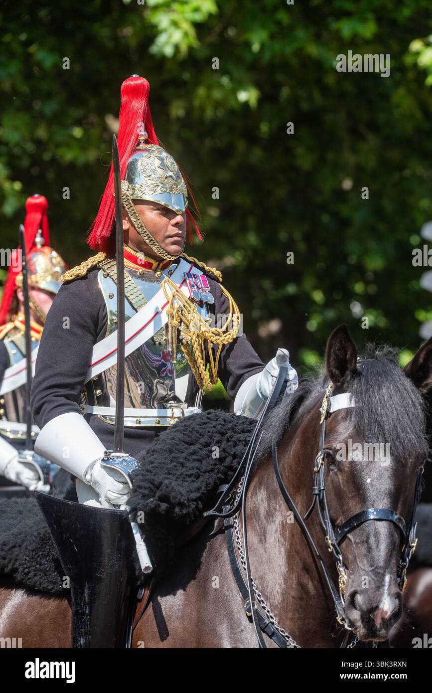 The Blues and Royals (Royal Horse Guards and 1st Dragoons) (RHG/D ...