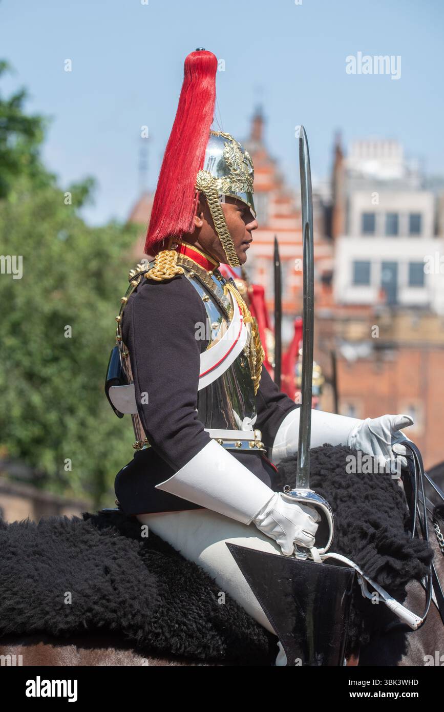 The Blues and Royals (Royal Horse Guards and 1st Dragoons) (RHG/D ...
