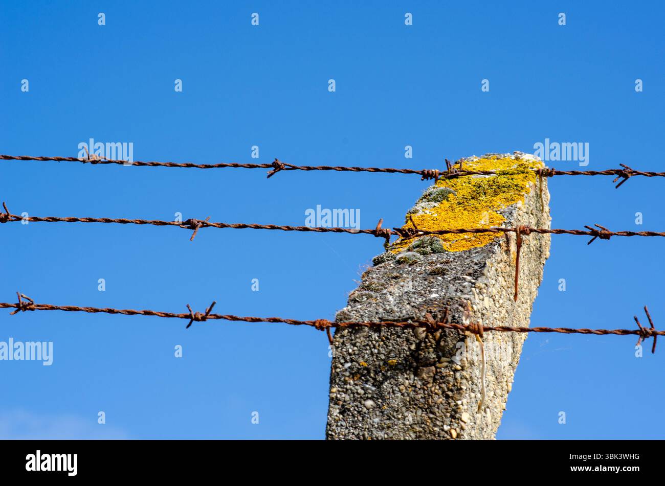 Antiintrusion hi-res stock photography and images - Alamy