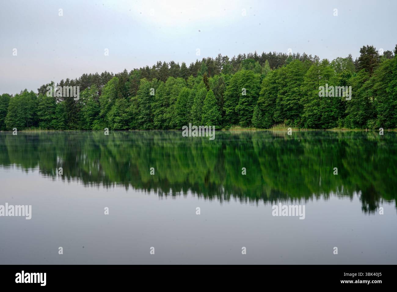 Lithuanian environment hi-res stock photography and images - Alamy
