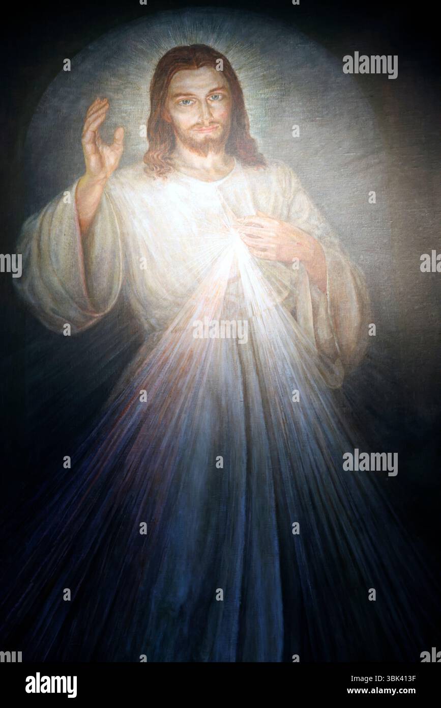 Merciful Jesus, I trust in you. The Divine Mercy of Jesus. Merciful ...