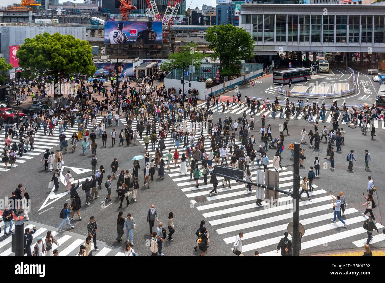 The famous pedestrian Shibuya scramble crossing at Hachiko Square, Shibuya, in Tokyo Stock Photo ...