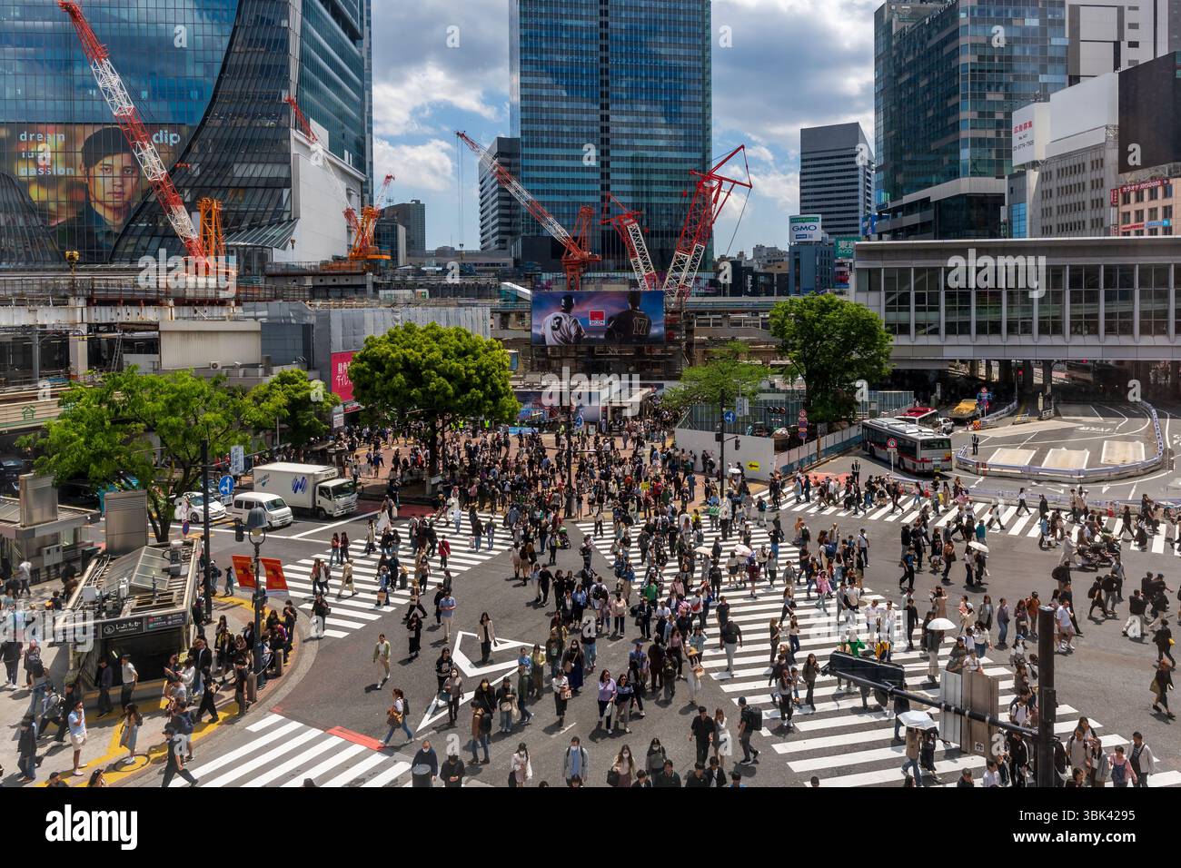 The famous pedestrian Shibuya scramble crossing at Hachiko Square ...