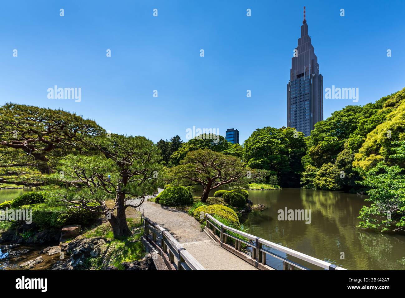 City park landscape in spring with blue sky and tall buildings in ...