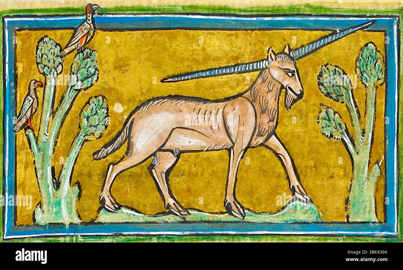 Medieval bestiary hi-res stock photography and images - Alamy