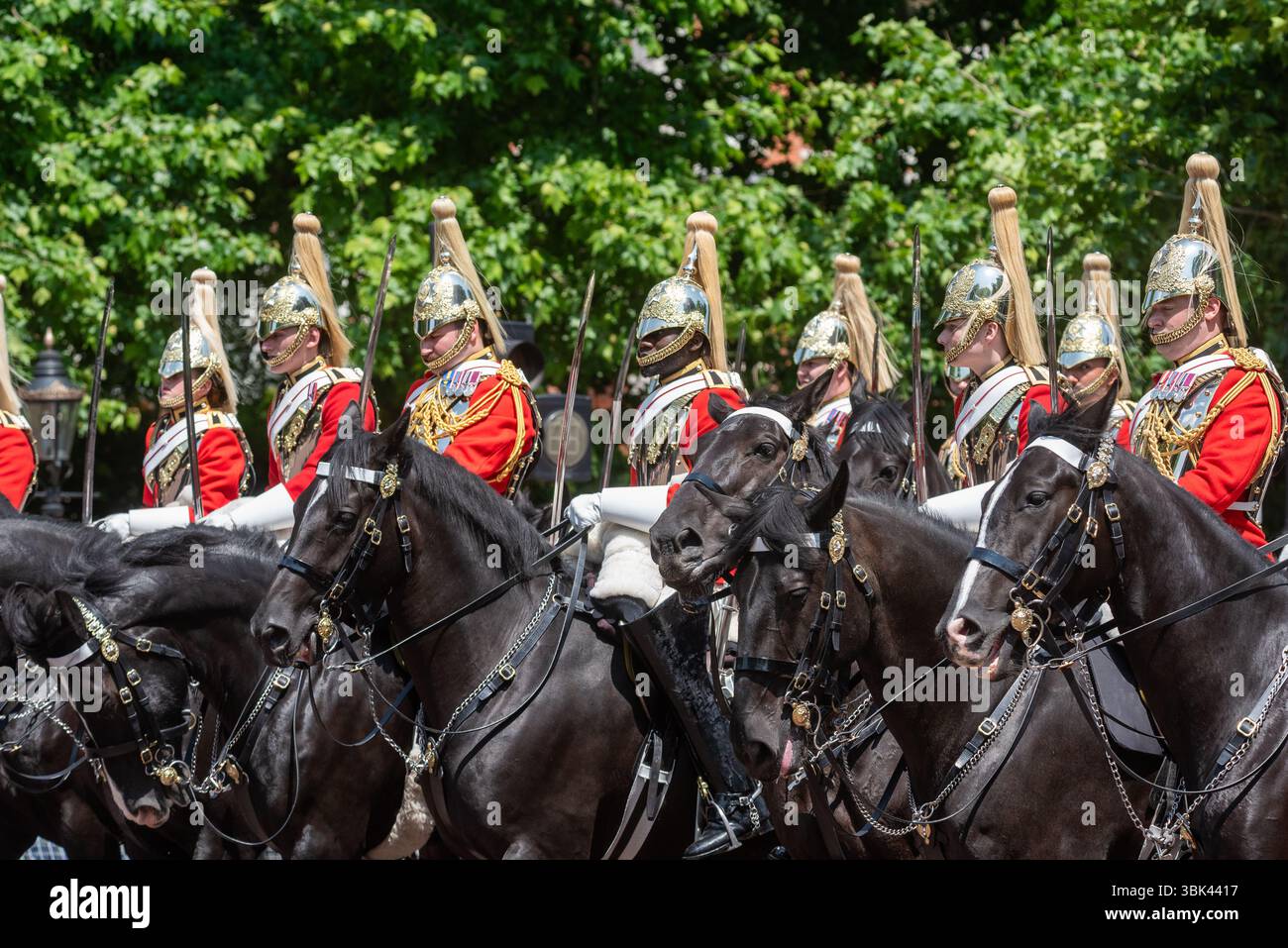 Life Guards of the Household Cavalry Mounted Regiment (HCMR) at ...