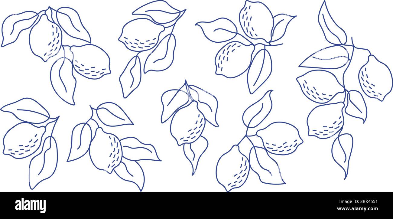 Set of hand-drawn lemon branches in minimal line art style. Perfect for ...